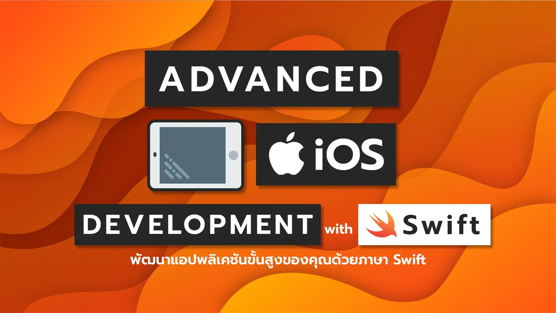 School Borntodev 