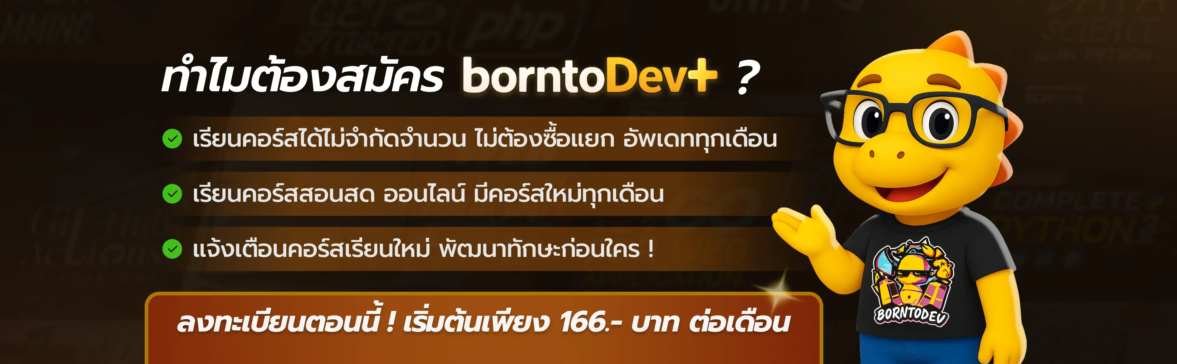 School borntoDev